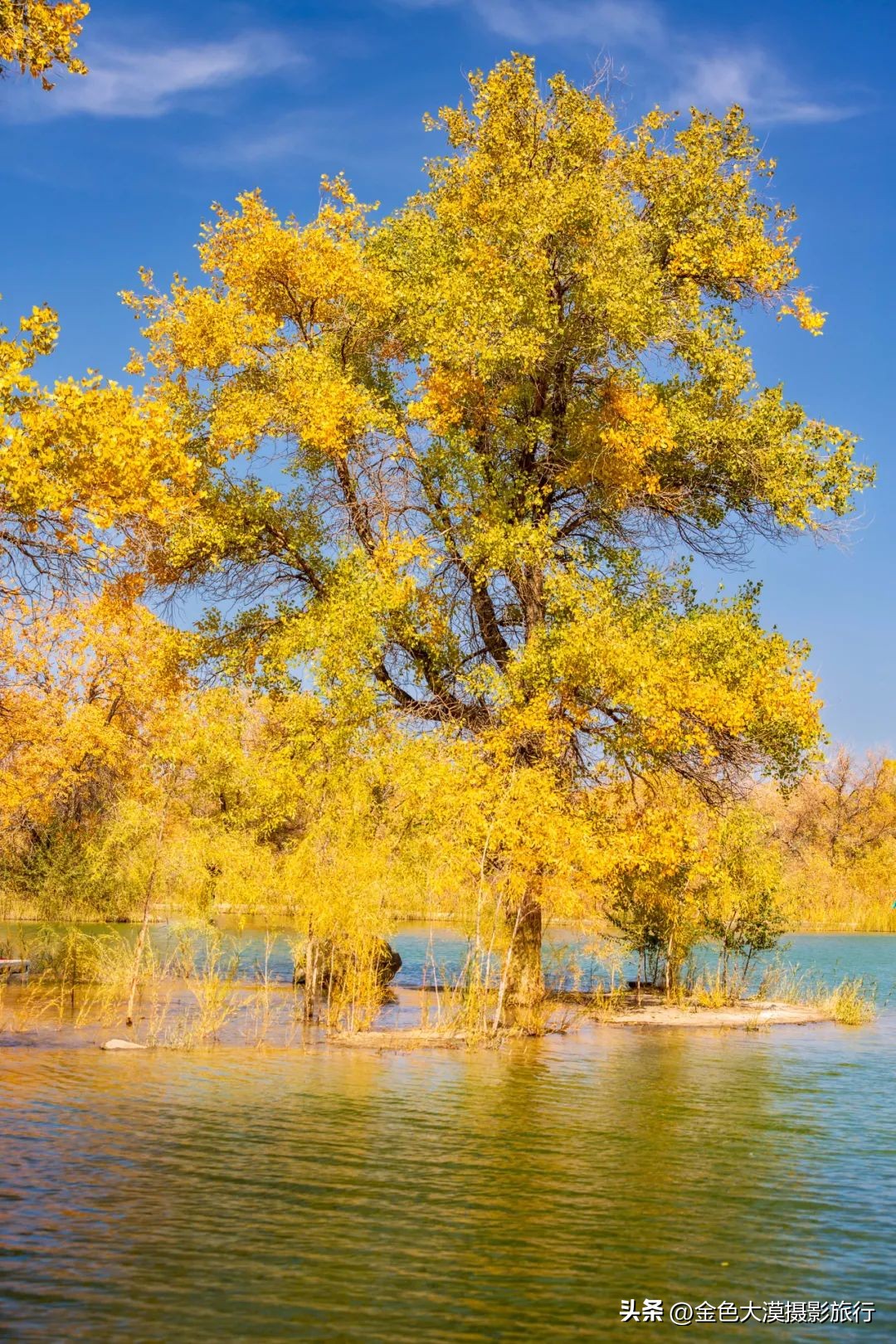 "Golden Desert" Ejina Banner in Golden Autumn, Excellent Photography ...