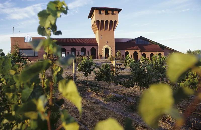 Forest Fog and Halo | Beth Phillips Winery - iMedia