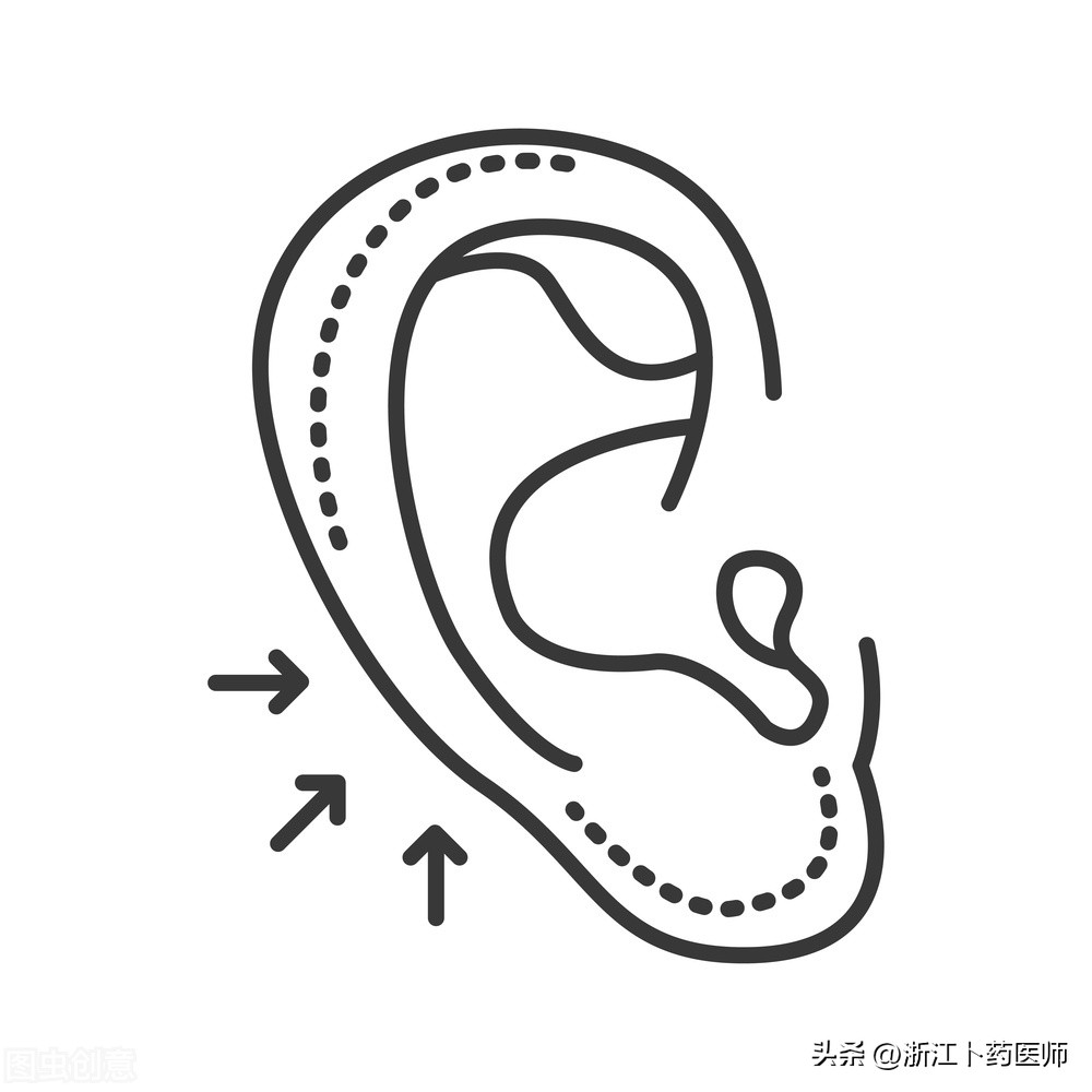 Larger ears are more likely to live longer.Blessed are the ears? - iNEWS