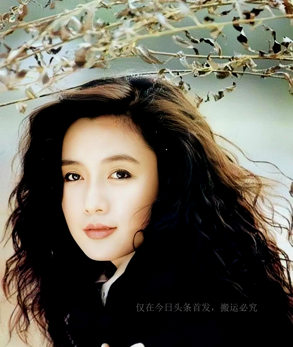 Lu Xiuling: Originally Brigitte Lin's successor, but wanted to follow ...