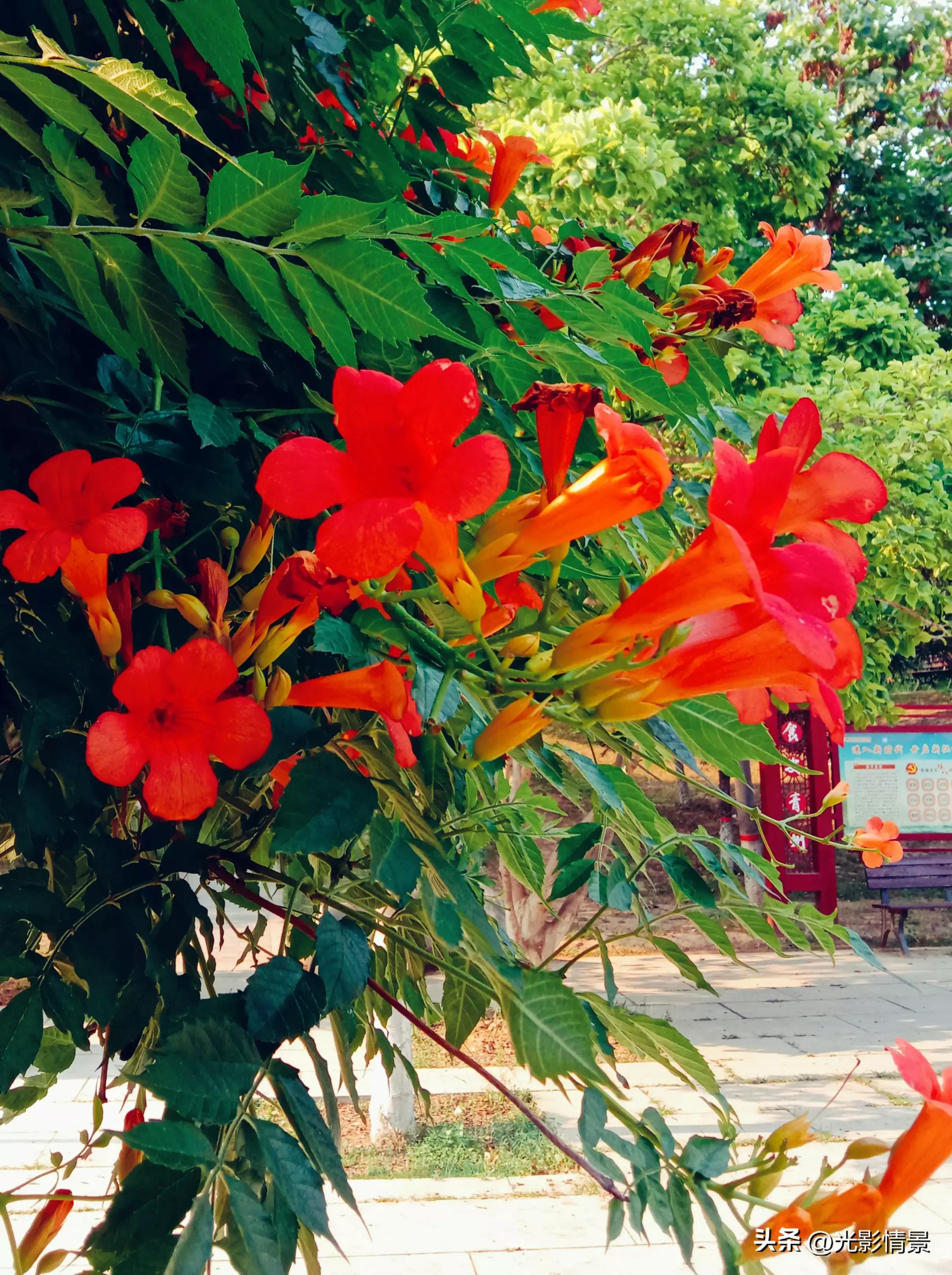 Tracing back to the source, discerning and practicing - iNEWS