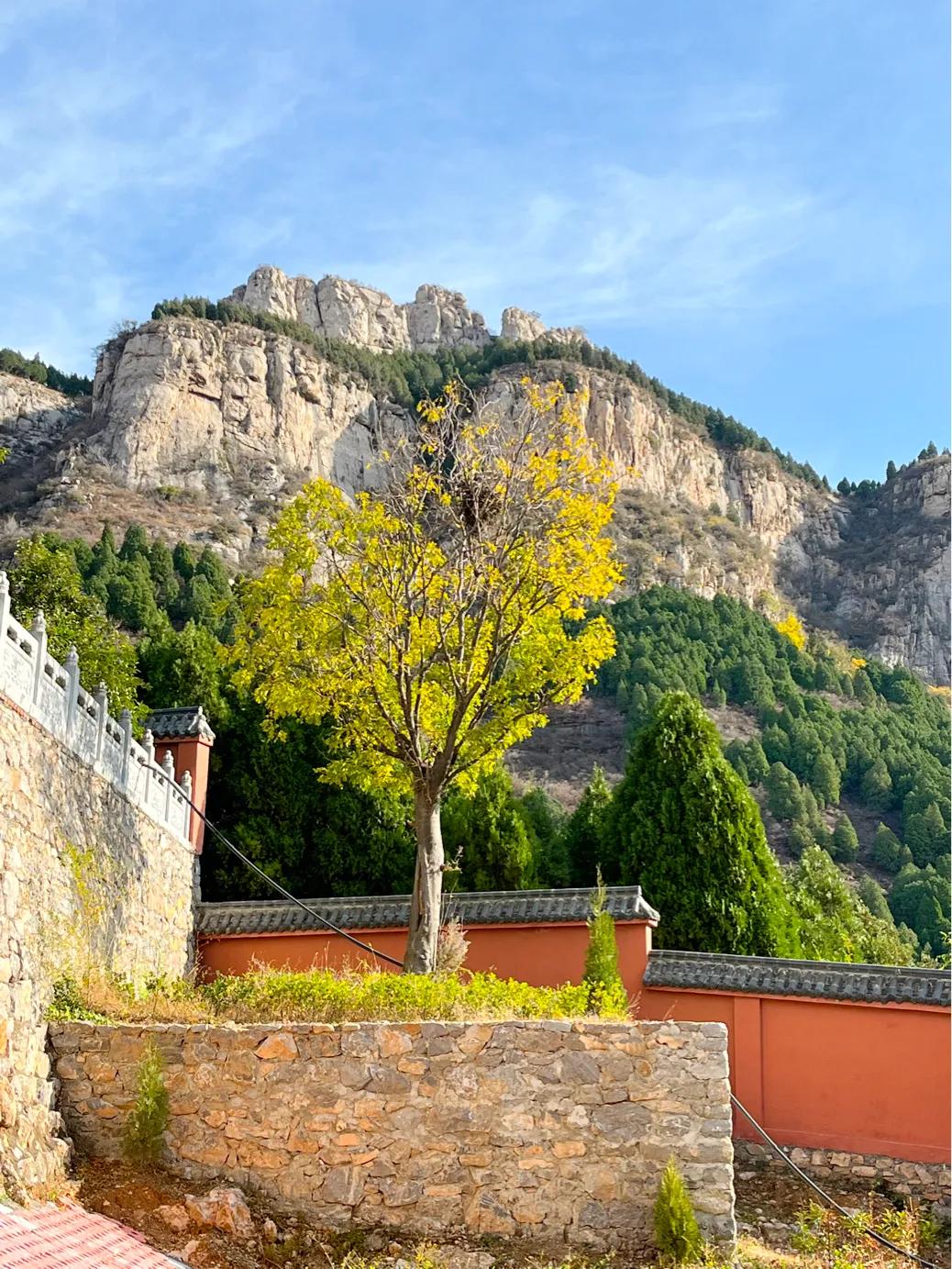 Visiting Jinan's Millennium Ancient Temple - Yijing Temple in Early ...