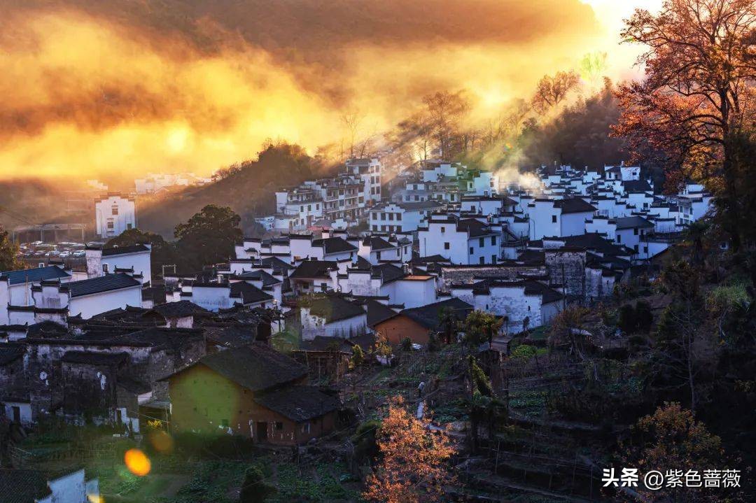 See the smoke coming from the kitchen again——Liu Ting - iNEWS