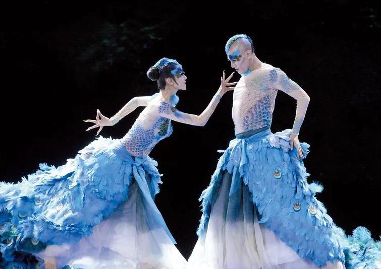 What do you think of Yang Liping's peacock dance? - iMedia