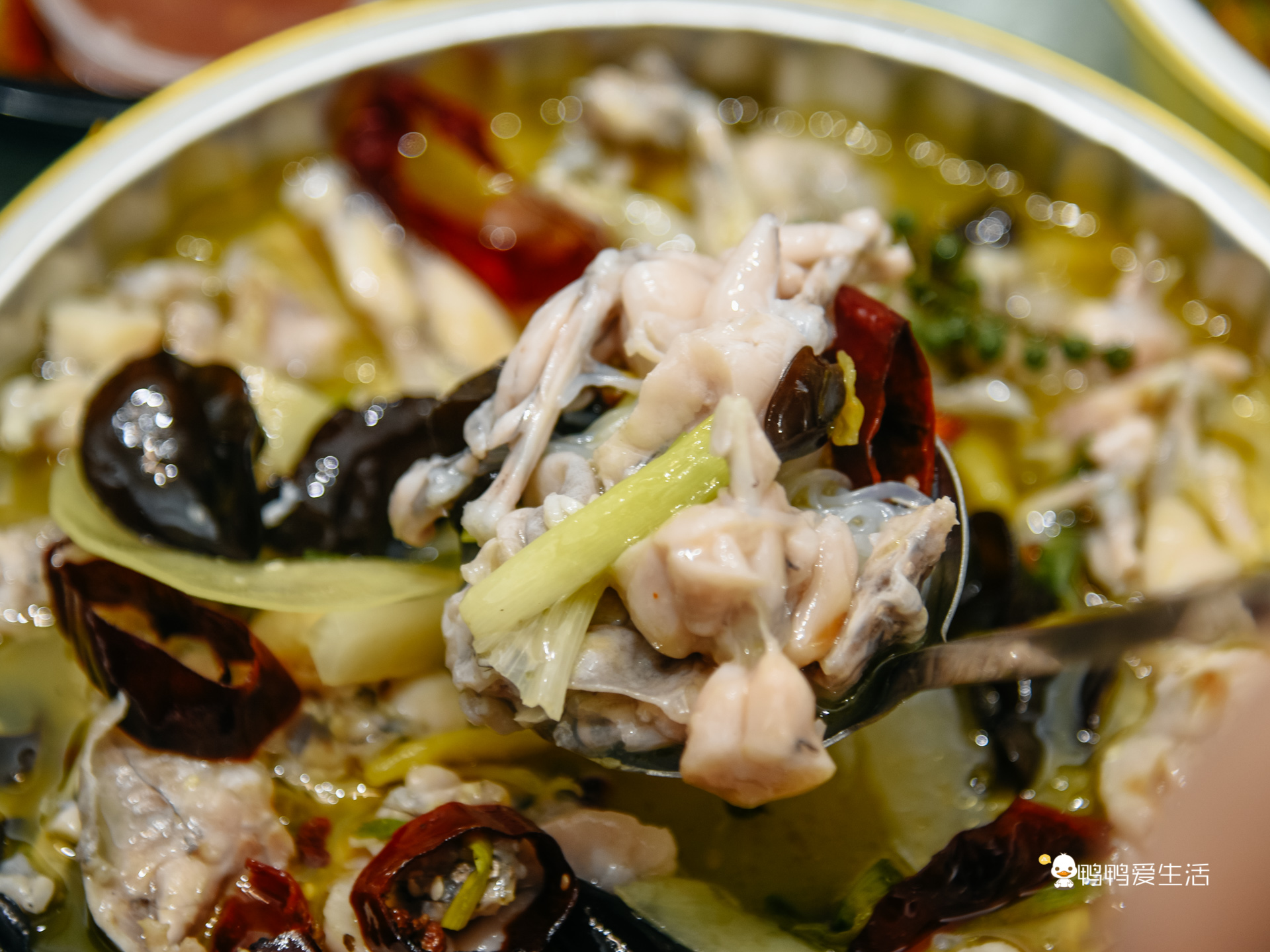 Xiamen's takeaway ace, pickled frogs can sell 1,000 copies in January ...