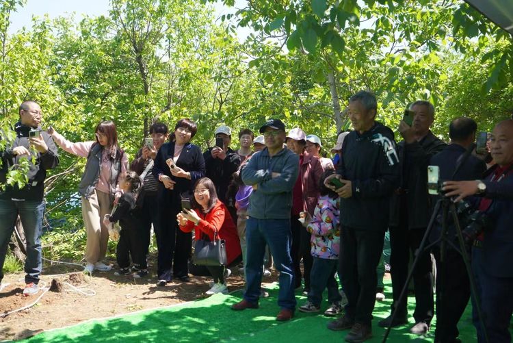 Shili Wine Flag Wind in Hongshan Township, Ganquan Mountain - iNEWS