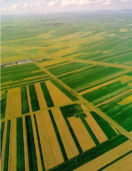 How much do you know about China's three major plains? - iNEWS