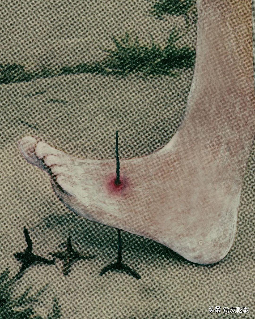 Appreciation of works by Julia Soboleva - iMedia
