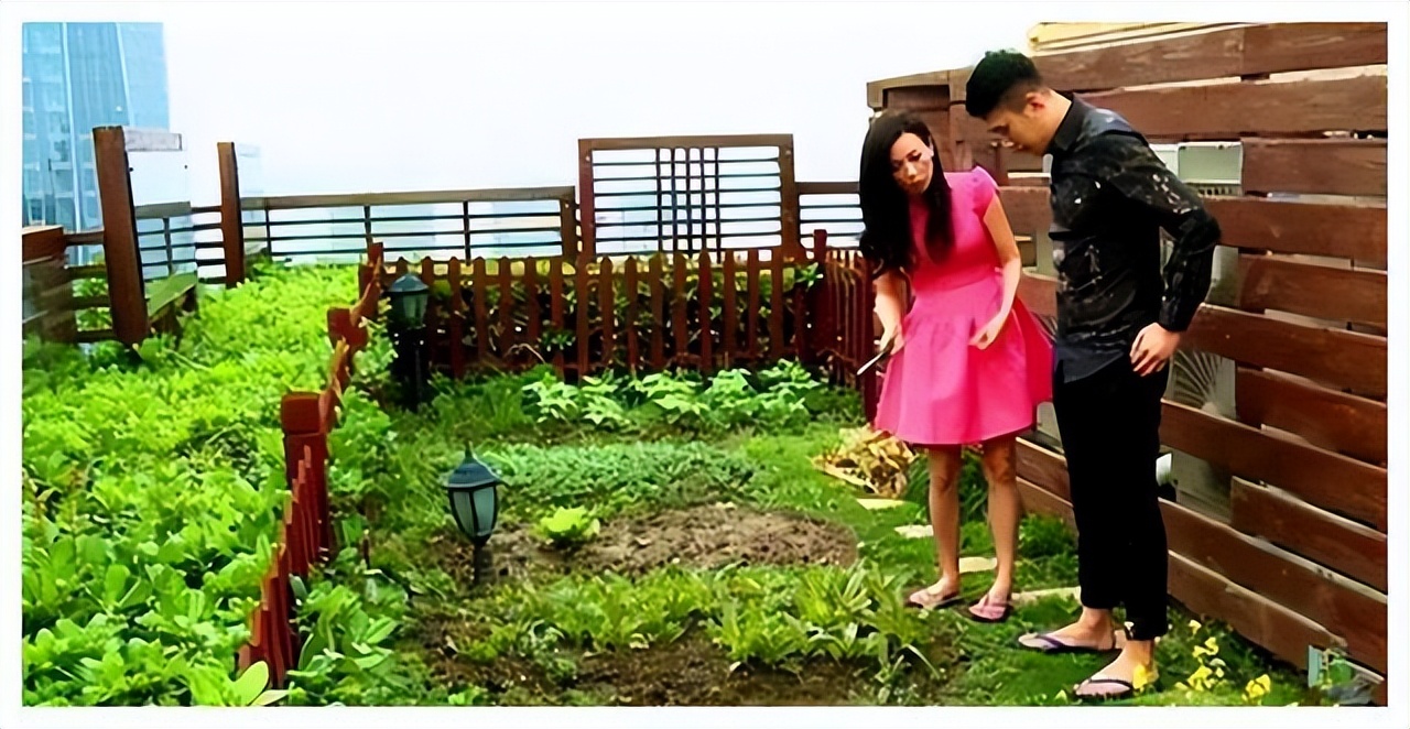 The "no bottom line" Zhang Ting and his wife finally paid the price for ...