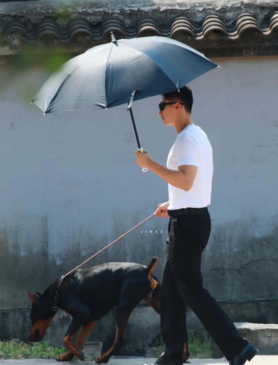 President Huang Jingyu and his dog - iNEWS