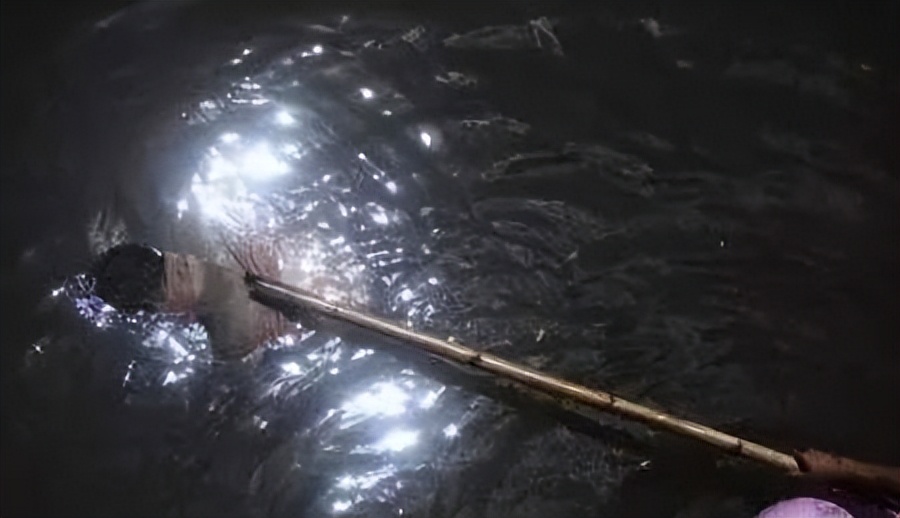 Yellow River corpse hunter: The corpse stands upright and runs away ...