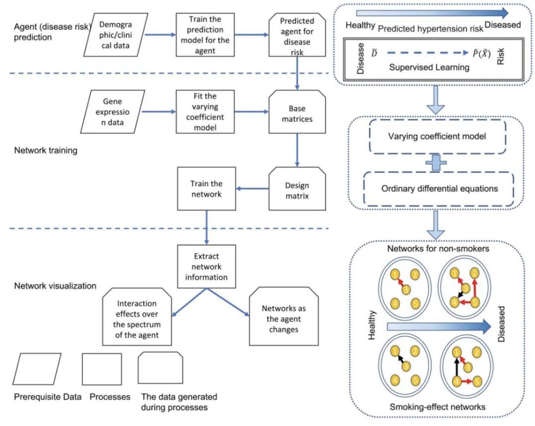 Reproducing dynamic interactions from static gene expression data - iMedia
