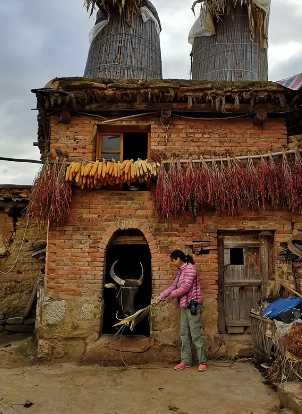 What is the significance of the historical wisdom of the Tuzhangfang of ...