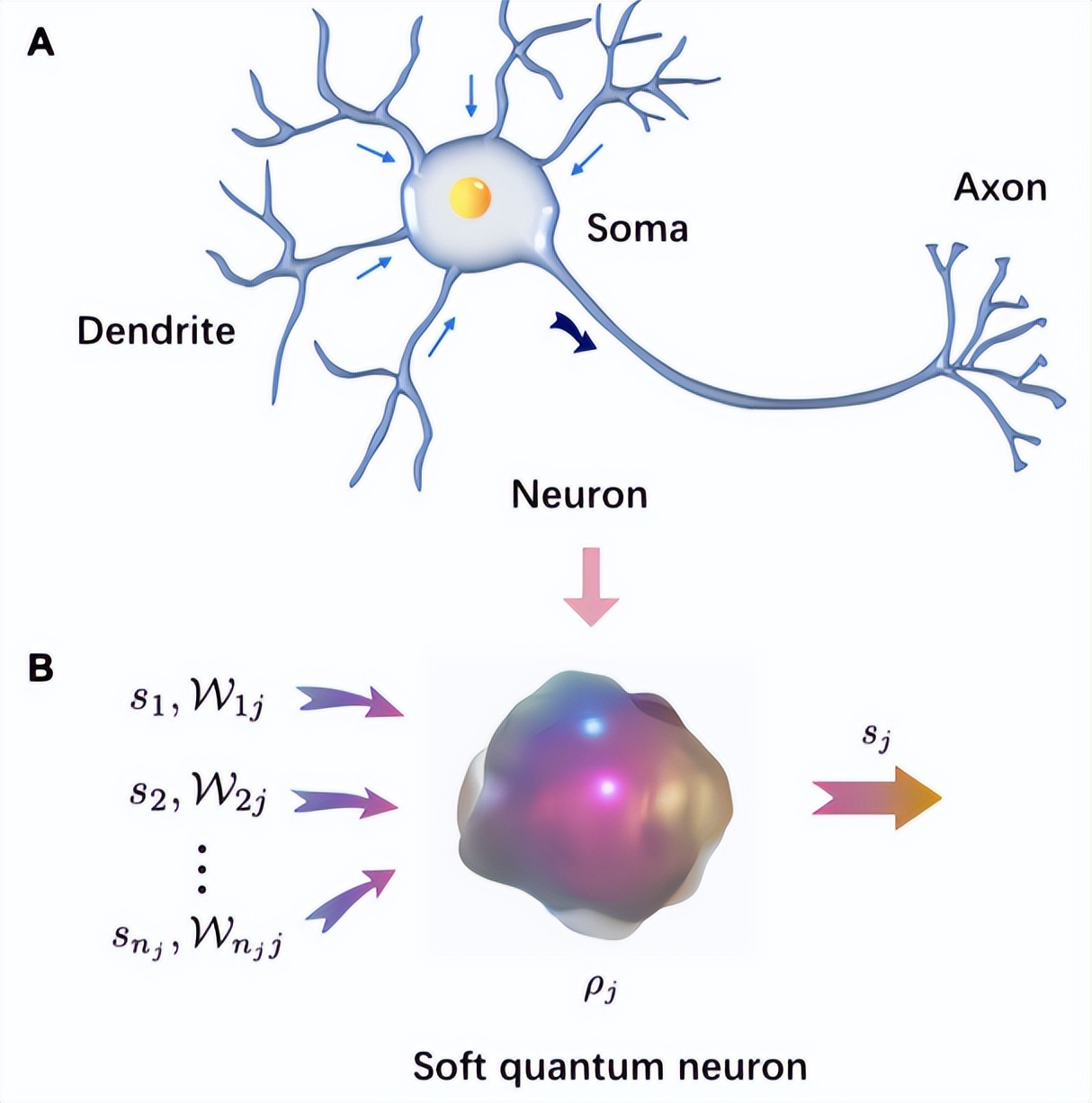 Quantum Neural Network Models for Quantum Neural Computing—New Progress ...
