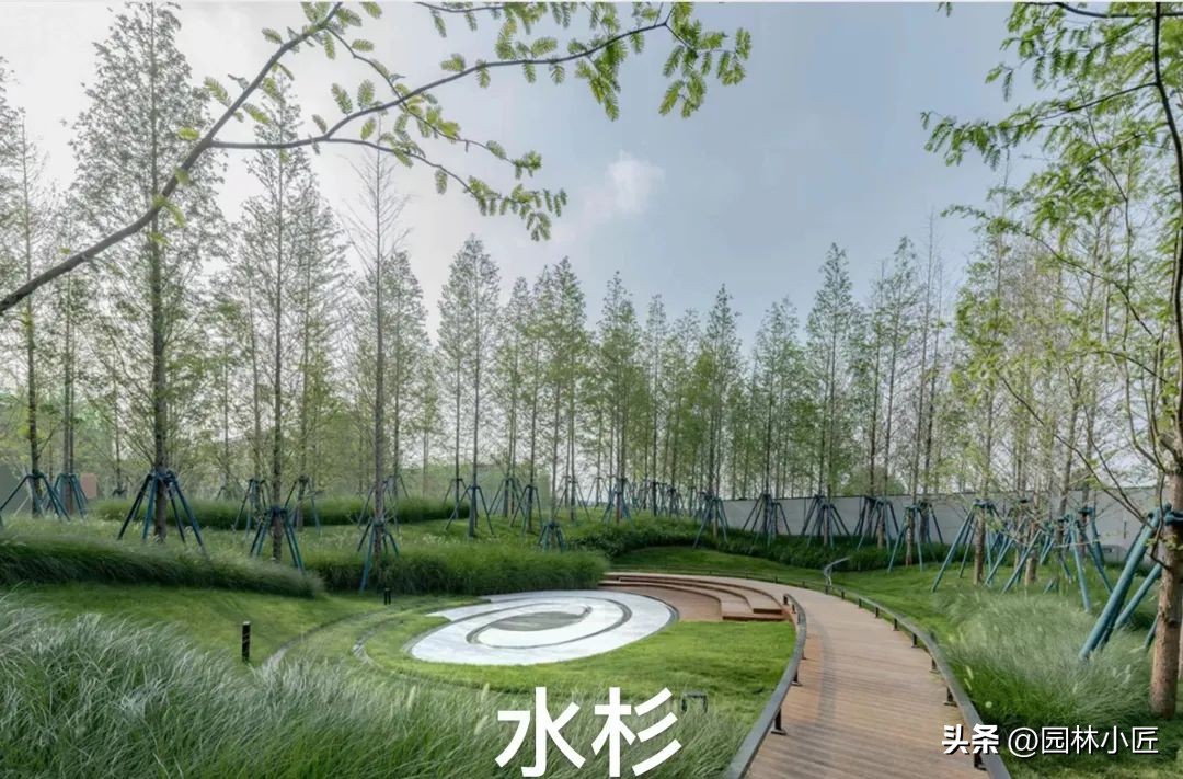 In garden landscape, case sharing of tree array planting effect - iNEWS