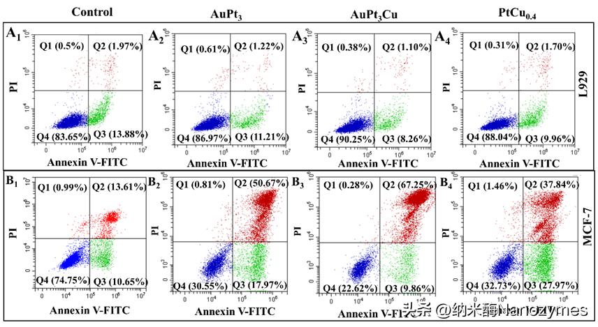 New application of gold-platinum-copper alloy multifunctional nanozyme ...
