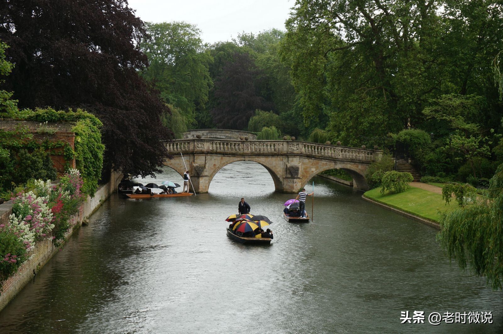 Zhang Youyi retaliated with virtue, was forced to divorce by Xu Zhimo ...