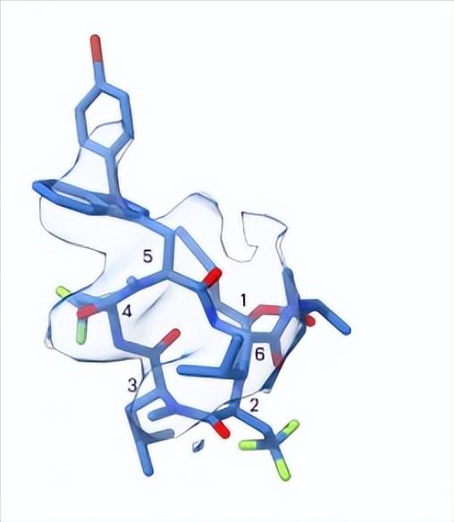 Signal peptide mimic primers for selective inhibition of clients - iNEWS