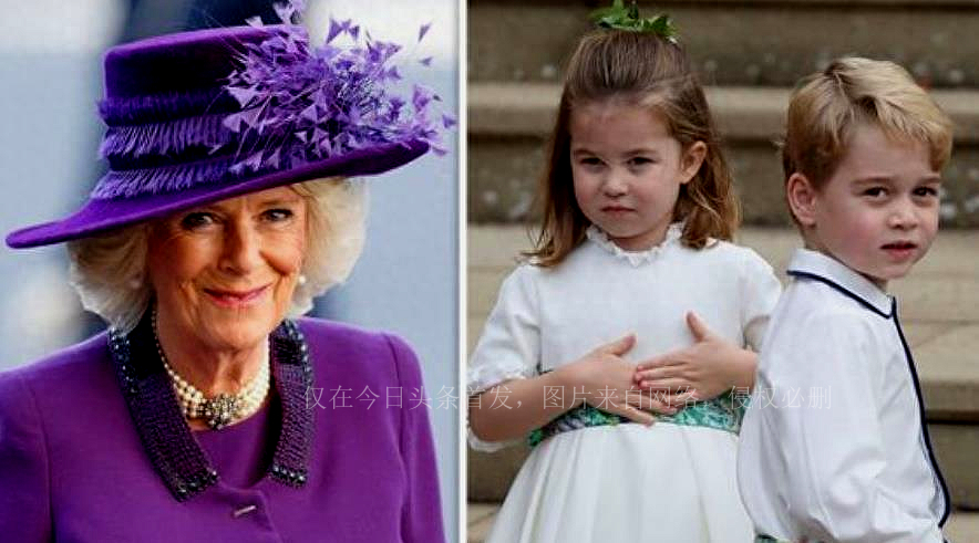 Camilla's grandson stole the spotlight and came to the rehearsal ...