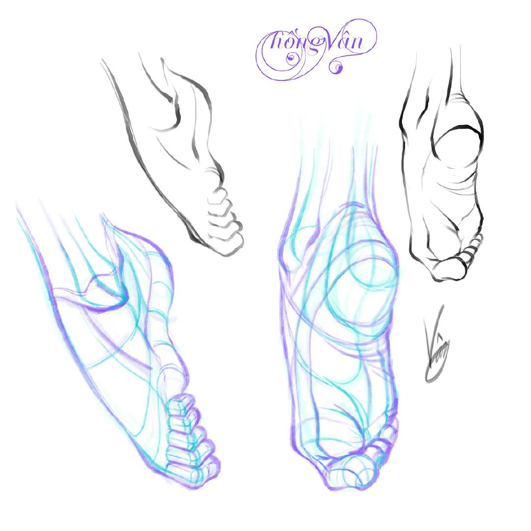 "Painting Reference" Human foot drawing reference shared by painter ...
