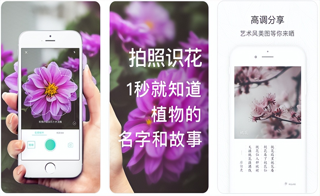 Show me my most commonly used Apple mobile phone software - iNEWS