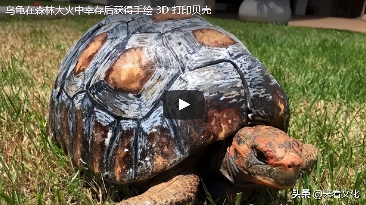 10 Weird Things 3D Printers Print - iNEWS