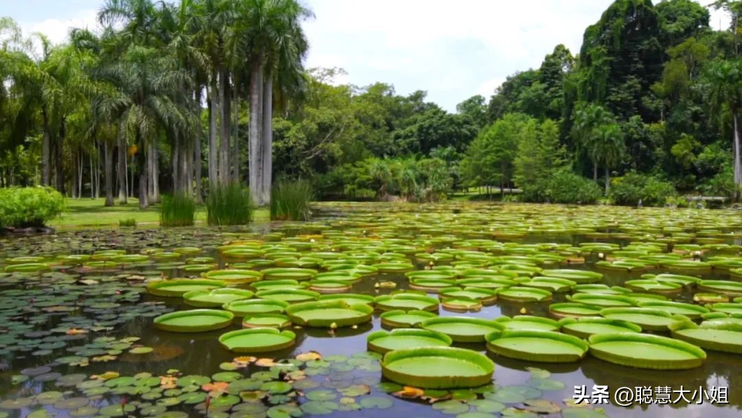 Xishuangbanna, the charming south of Yunnan - iNEWS
