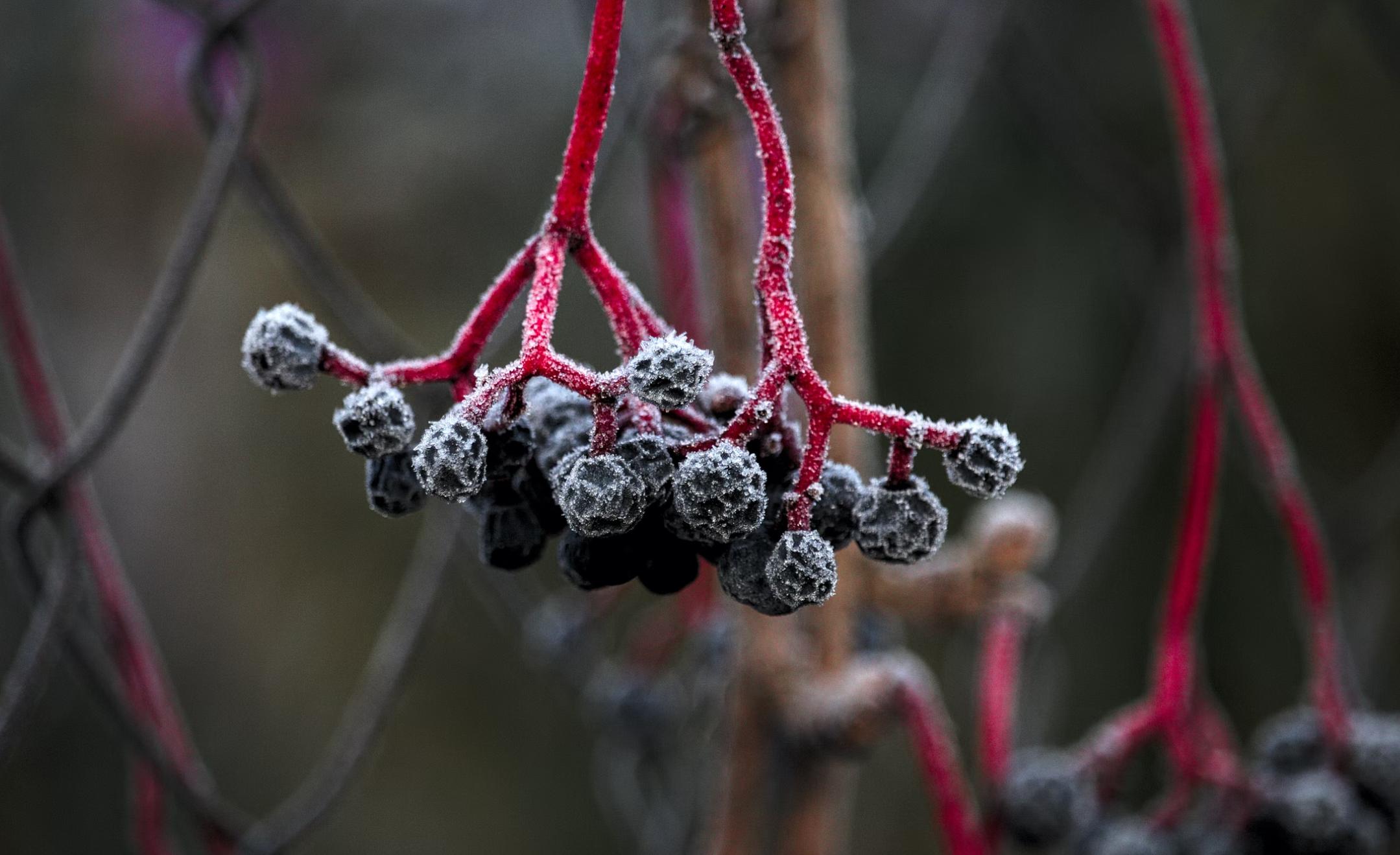 Very cunning, people can't see through the constellation, they can be ...