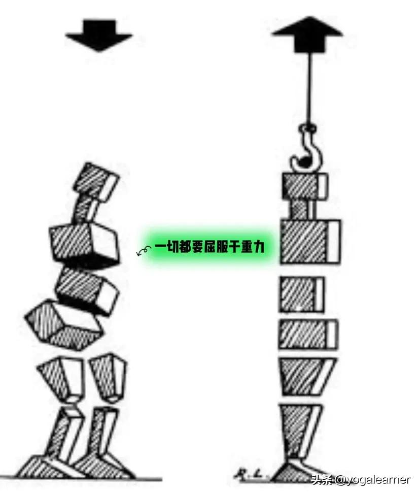 The underlying logic of posture problems? (1) - iNEWS
