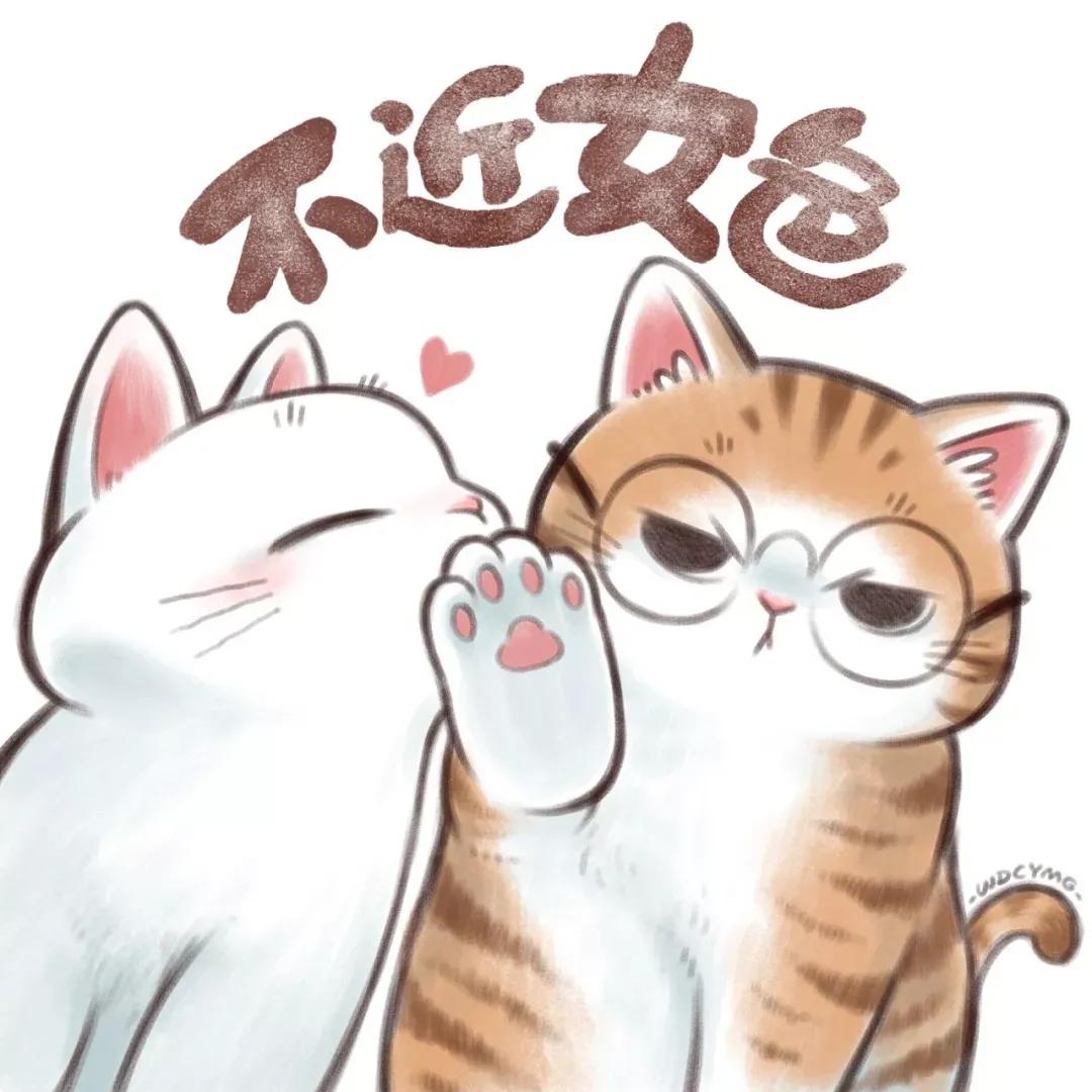The wechat avatar couple cat avatar I found today is cute and funny ...
