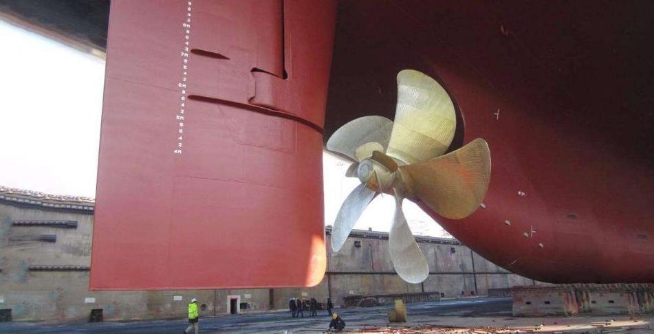 If an aircraft carrier's propeller hits a whale, how long can they live ...