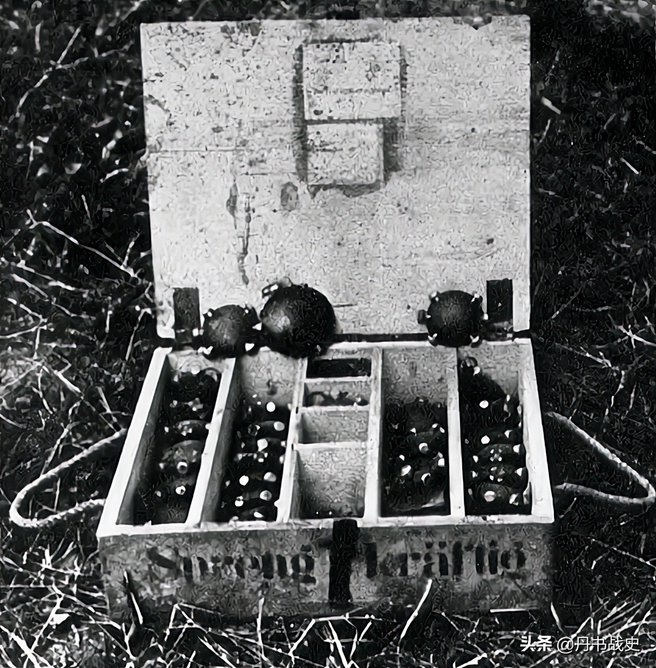 Called "tortoise" and "lentil" by soldiers, a unique German pie-shaped ...