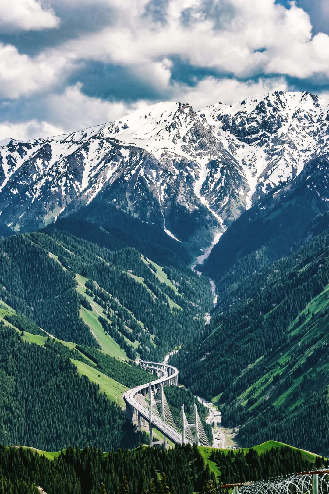 Yili Riverside Long Song Xing - iNEWS