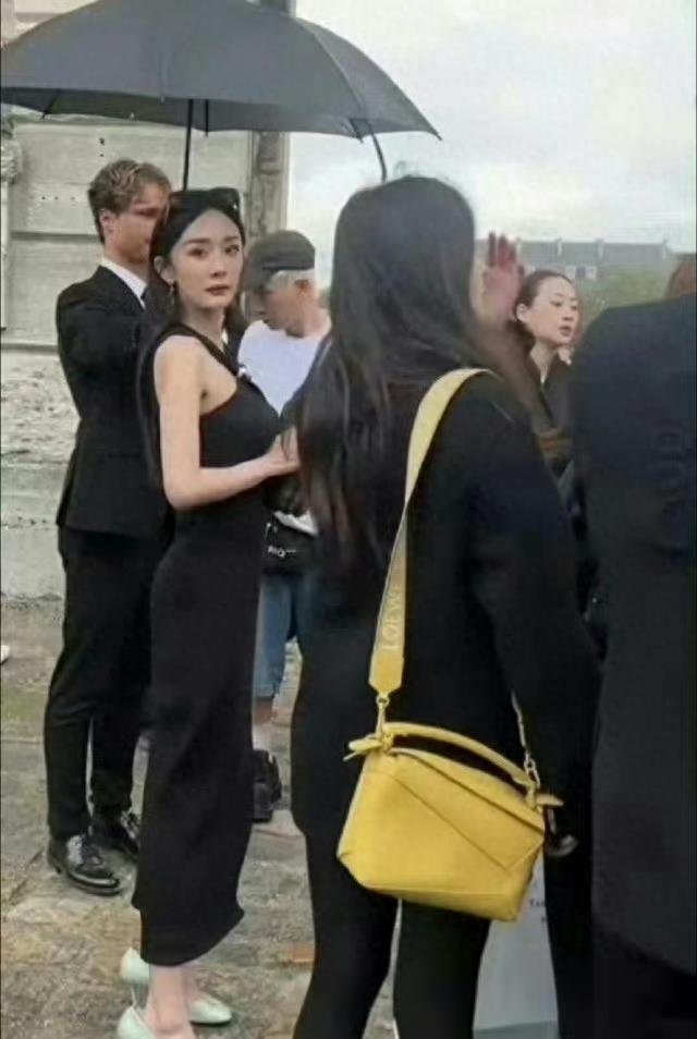 The foreign media created a picture that turned into a "demon mirror ...