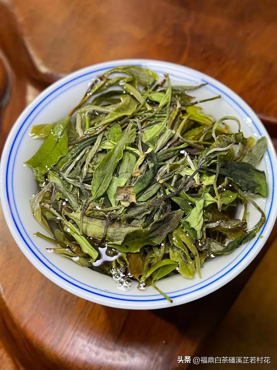 Do you understand the 4 questions about getting started with white tea ...