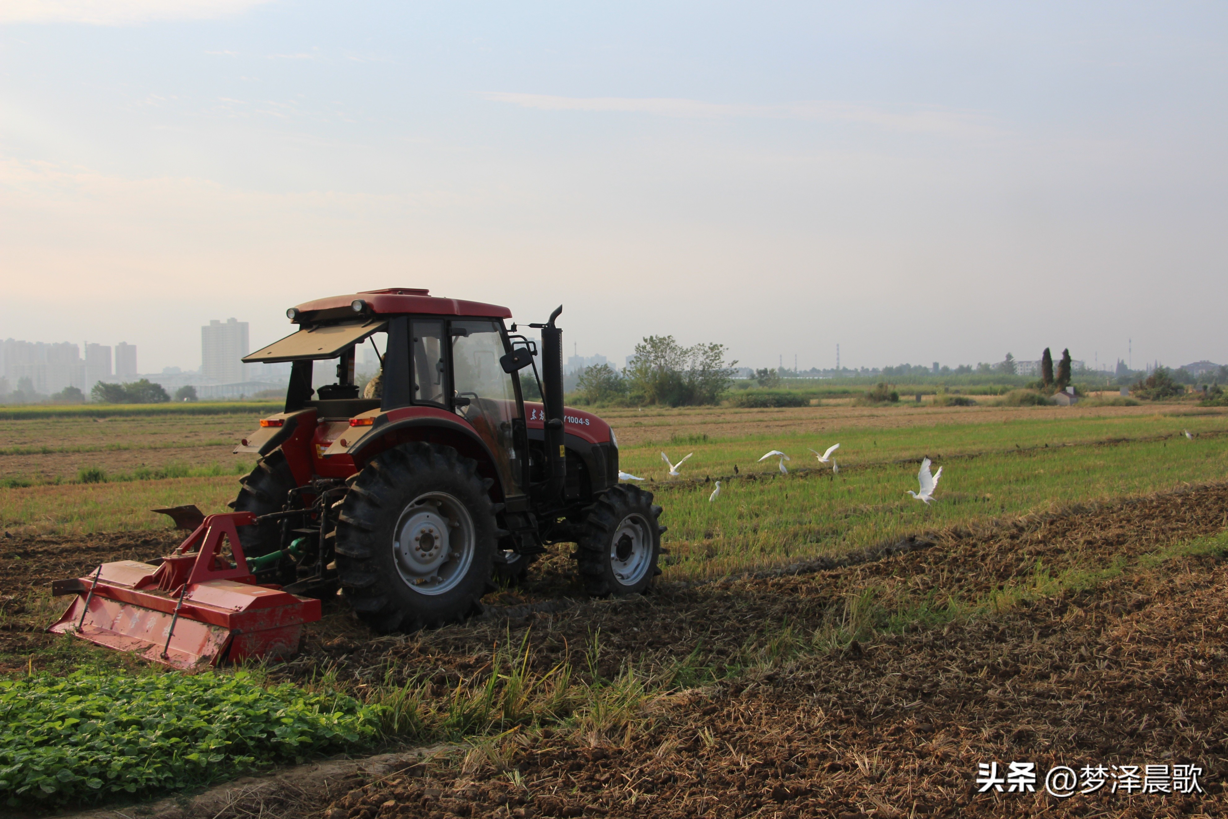 Hubei: Yunmeng farmers busy in autumn - iNEWS