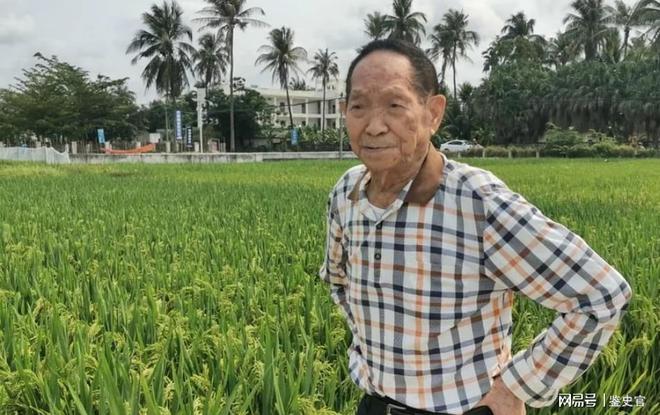 Yuan Longping's hybrid rice is famous all over the world, why did not ...