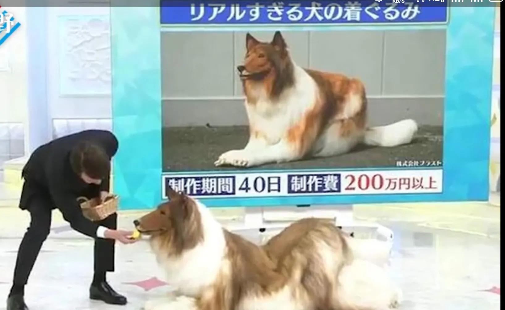 Japanese man spends 2 million yen to successfully turn himself into a ...