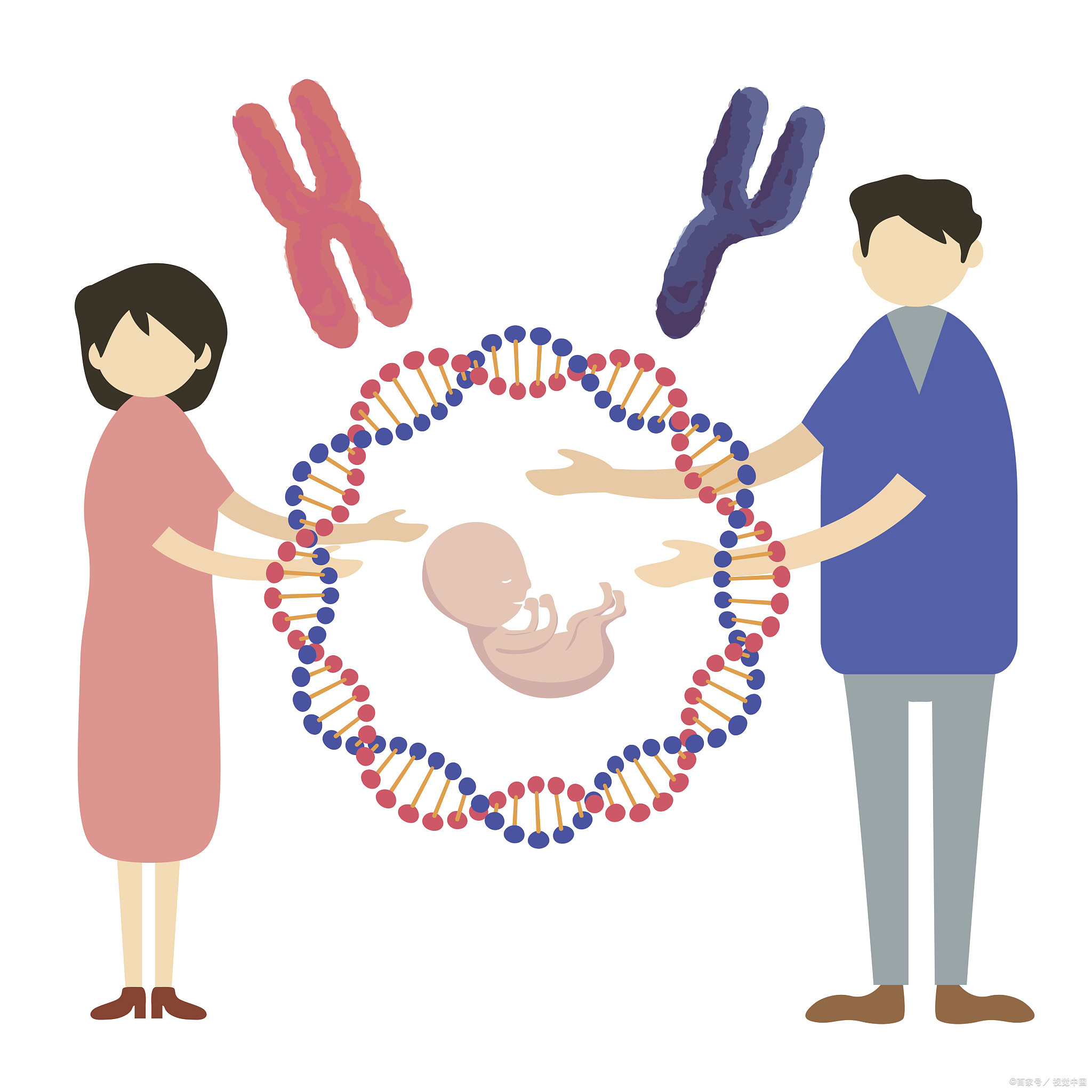 Brothers are more genetically similar, so why is the father-son ...