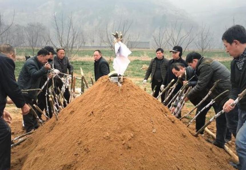 Tree burials are on the rise, is it just a matter of time before ...