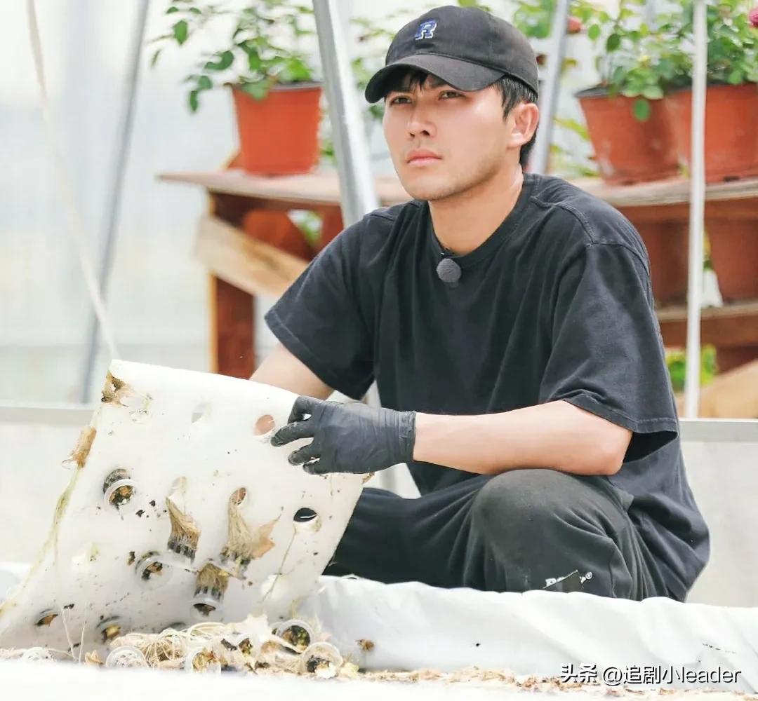 Have you watched the labor documentary reality show "Planting the Field ...
