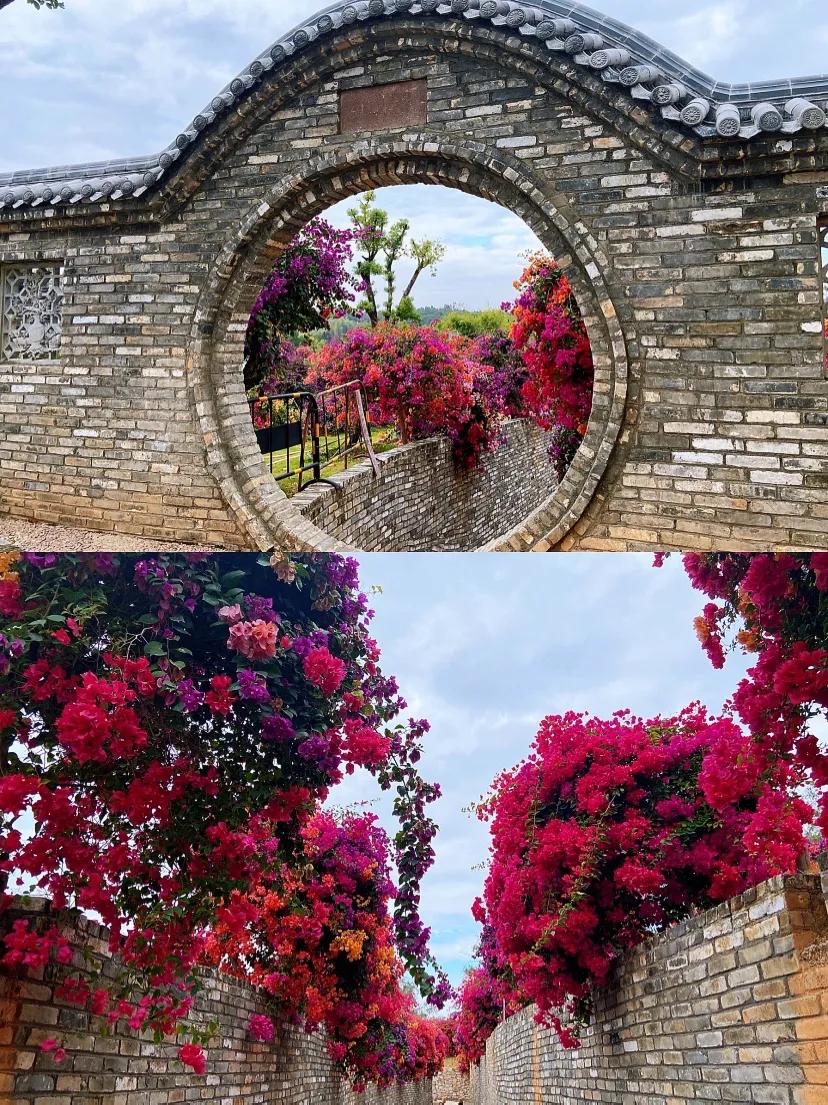 Break into the sea of flowers secret!This new attraction in Guangzhou ...