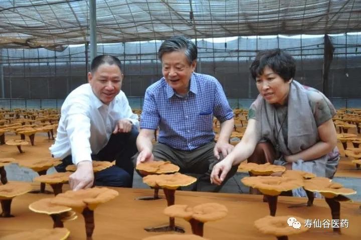 Ming Yan, the same Ming Yan - iNEWS