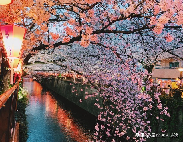 Constellation of success with firm goals and conquering difficulties ...