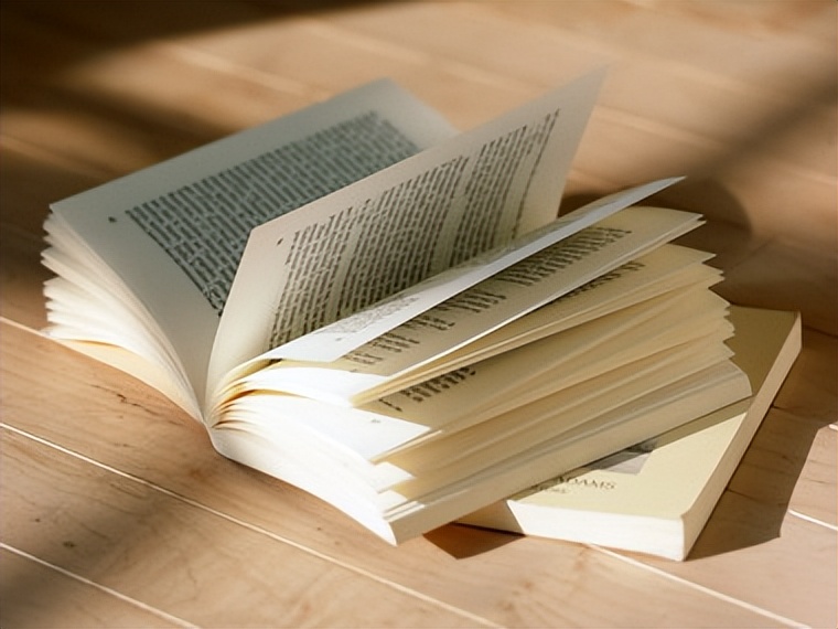 Five realms of reading - iNEWS