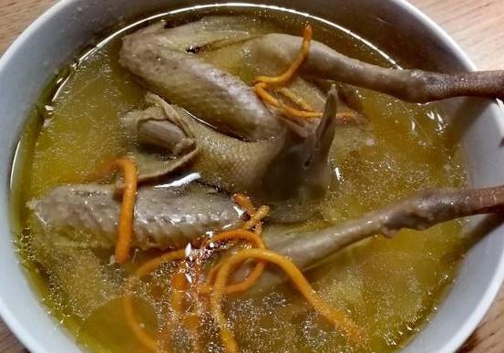 What kind of soup is best for white pigeon to nourish blood, and what ...