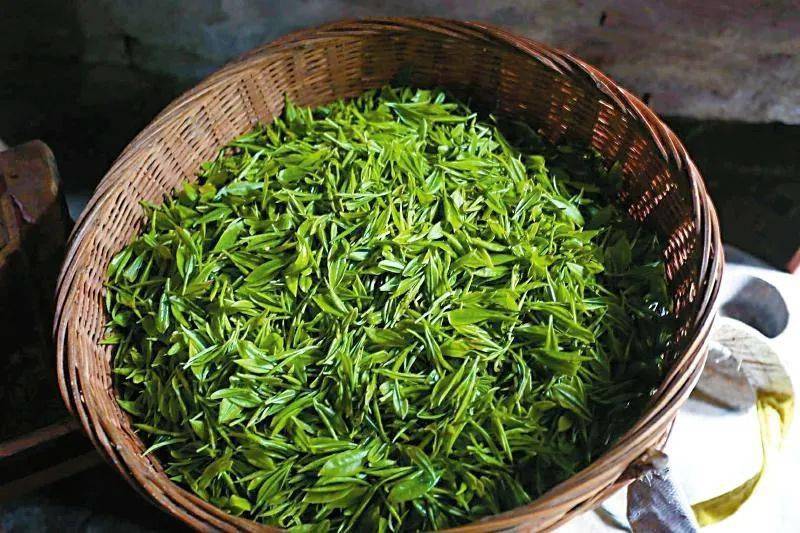 [Tea Culture]Tea and Taoism ‖ Hou Zhiming - iNEWS