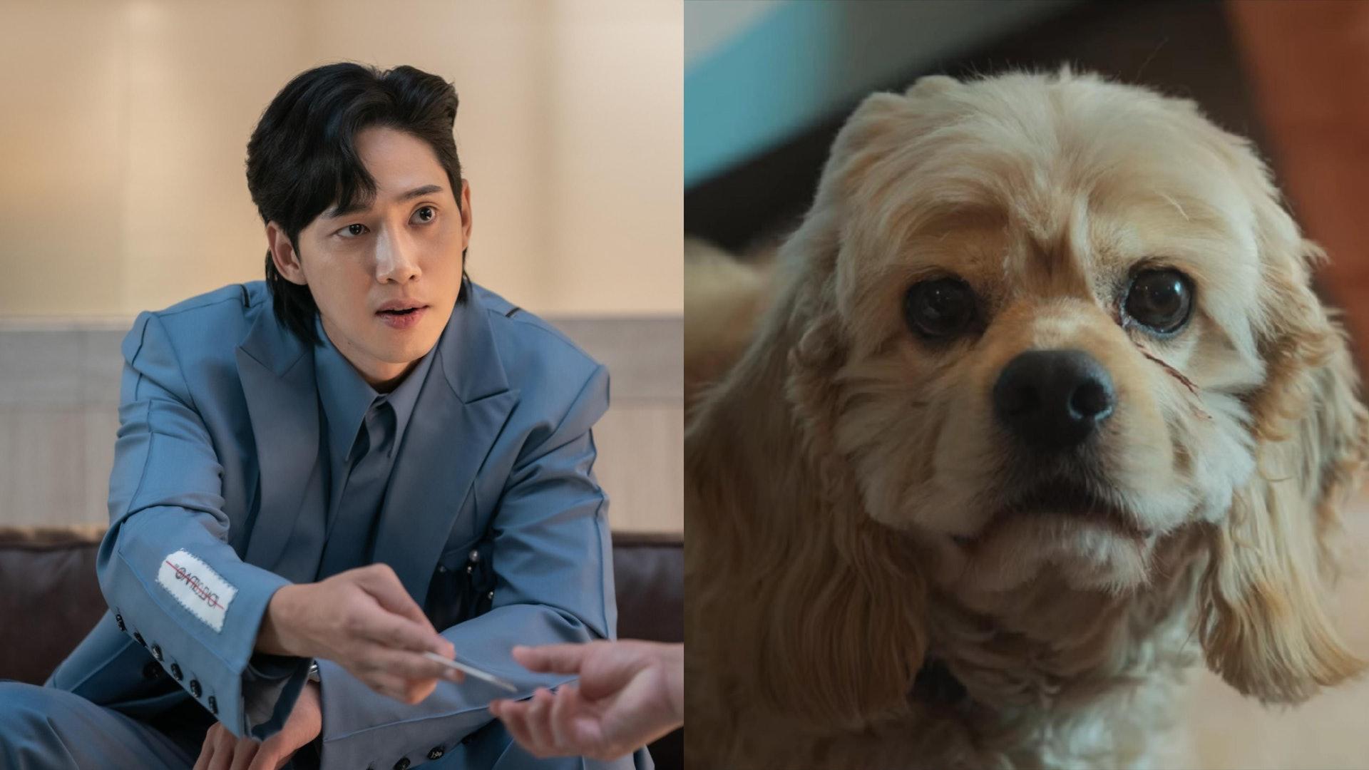 The second season of "Dark Glory": Jeon Jae-jun's decision, the color ...