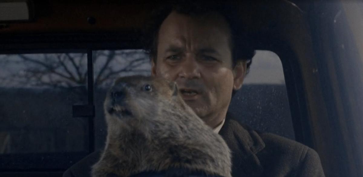 An infinite loop of life? Phil's unique experience reveals the ...