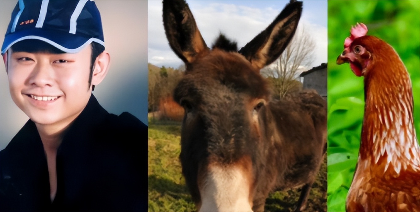 Open up the pattern! Interpreting "Rakshasa Sea" from a higher ...